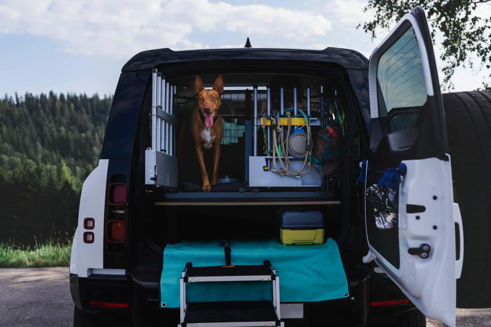 Adventure & Adopt Pet Event | June 26th 4-6pm Land Rover Hinsdale