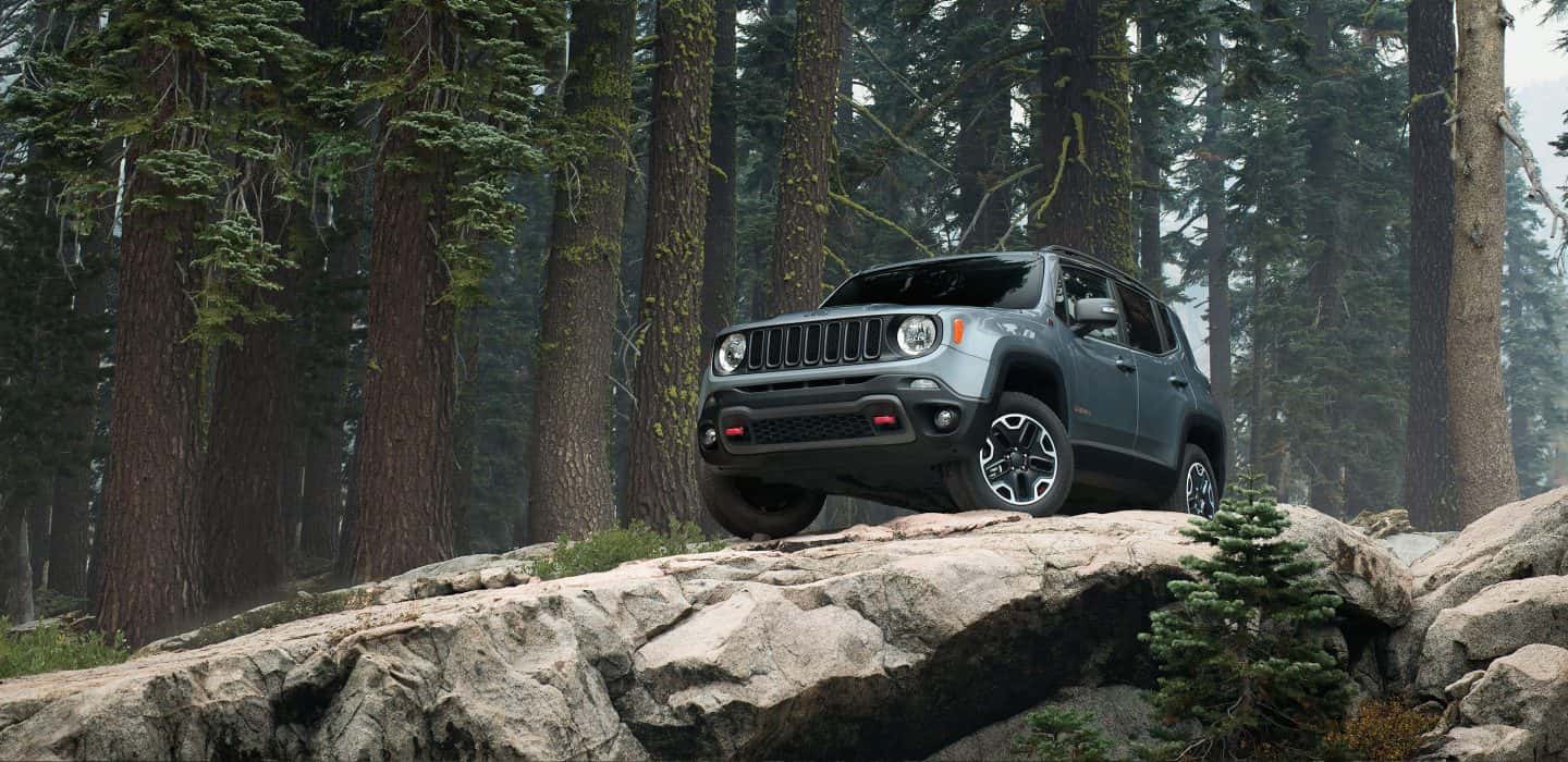 Harness the Power of Jeep Renegade and Power Through | Tate Branch Hobbs