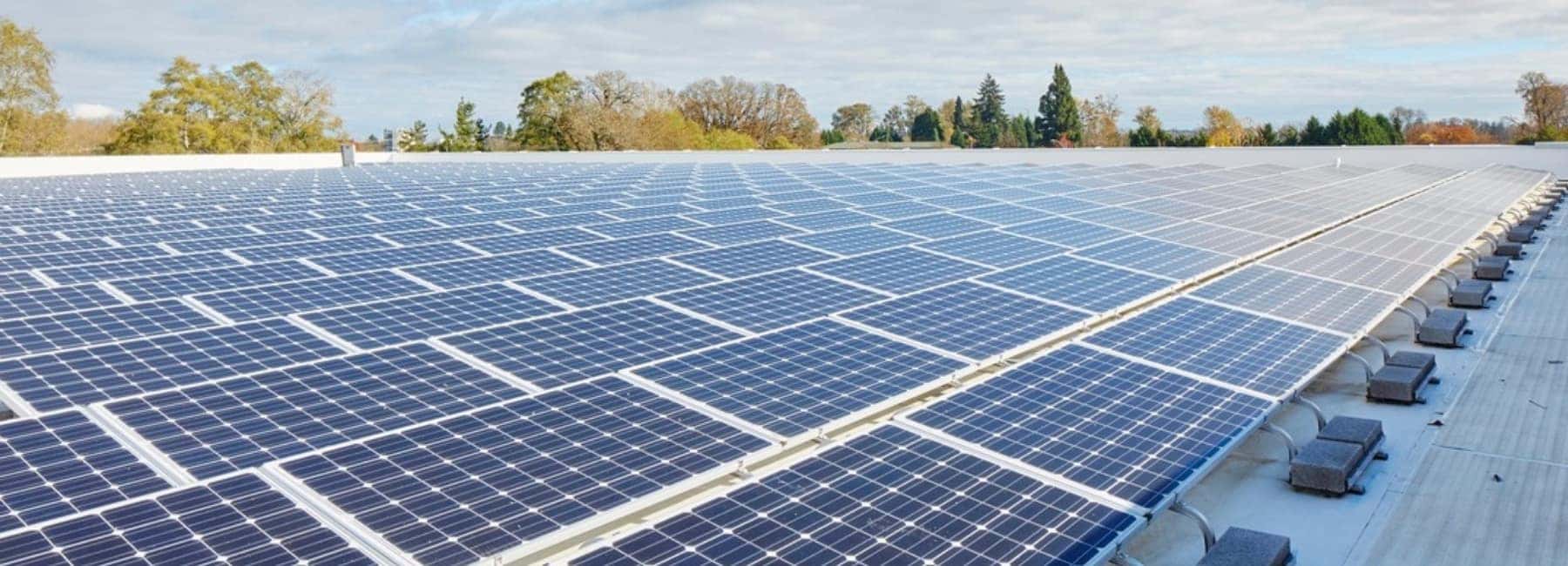 Solar-Powered Service: What It Means for Your Car and the Planet ...