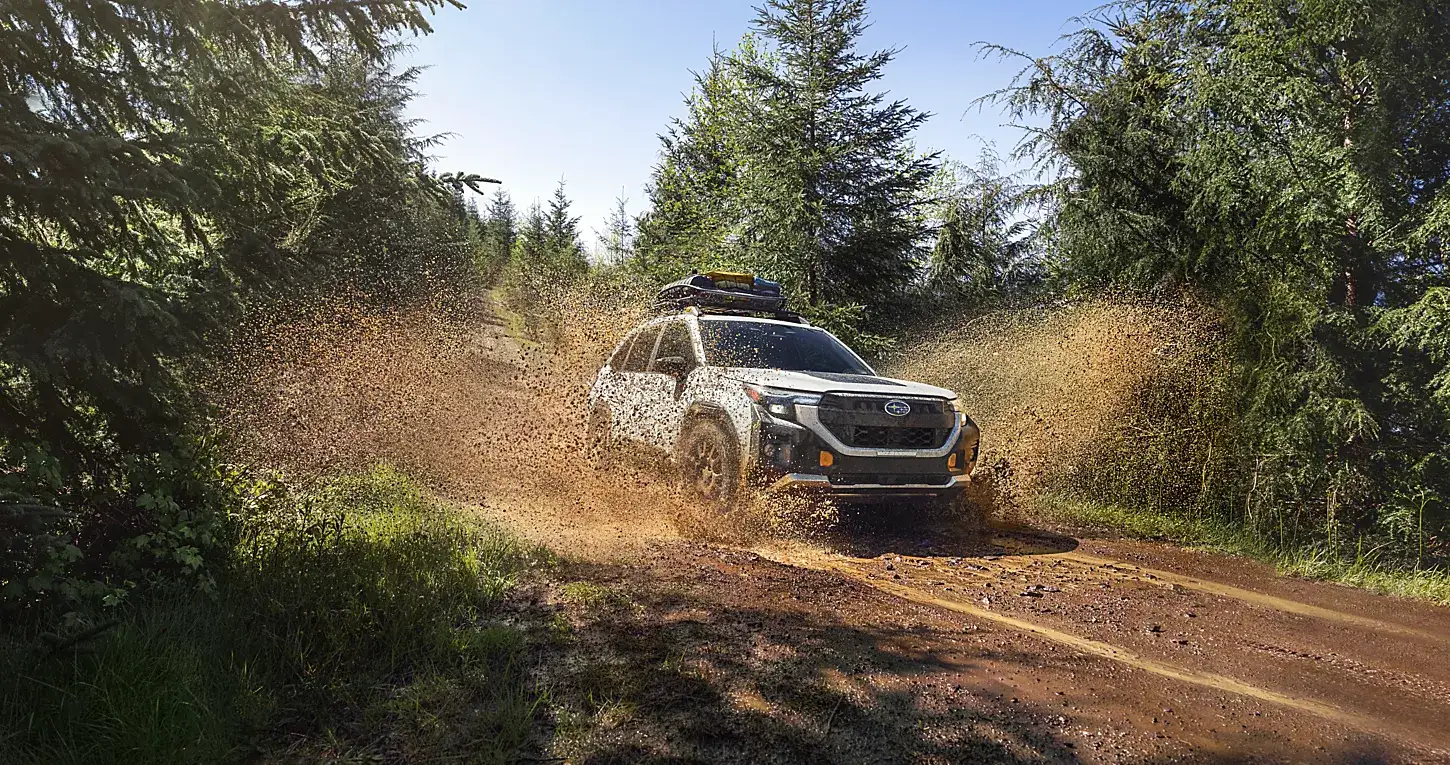 Subaru Wilderness Models | Wilsonville Subaru